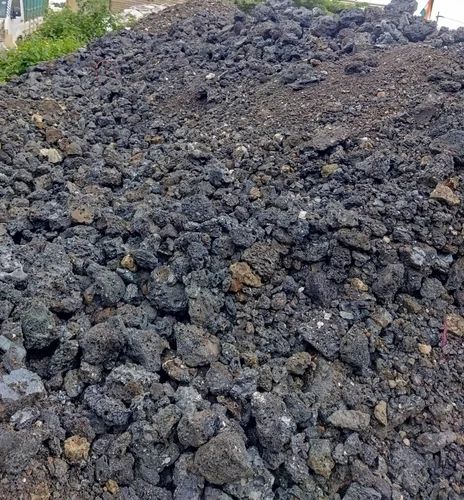 Cinder – Lalazar Nursery